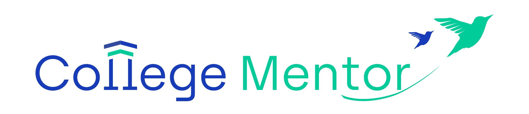 College Mentor